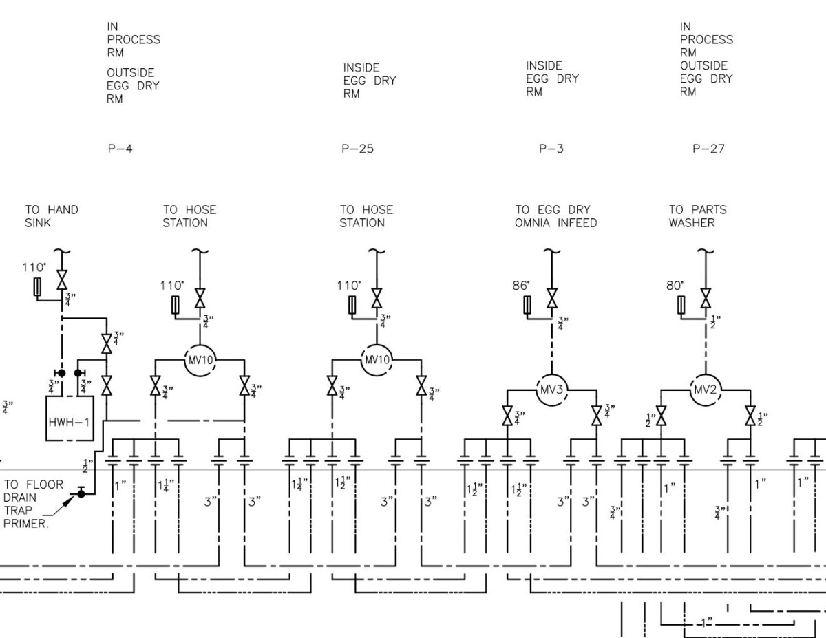 Case Study: Design Team Overcomes Unique Challenges at Egg Processing ...